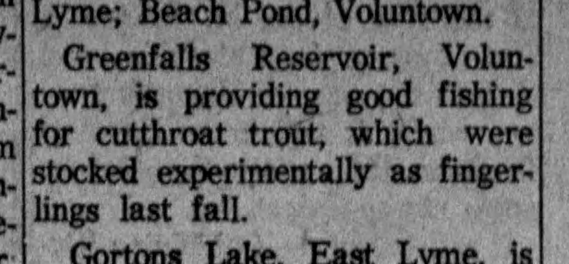 The Lost Story of Cutthroat Trout in Connecticut | The Connecticut Angler