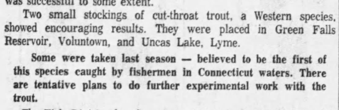 The Lost Story of Cutthroat Trout in Connecticut | The Connecticut Angler