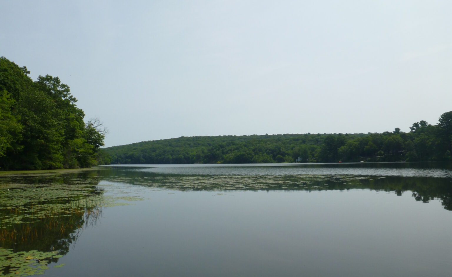 The Lost Story of Cutthroat Trout in Connecticut | The Connecticut Angler